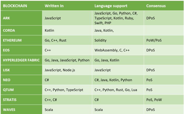 How to Become a Blockchain Developer